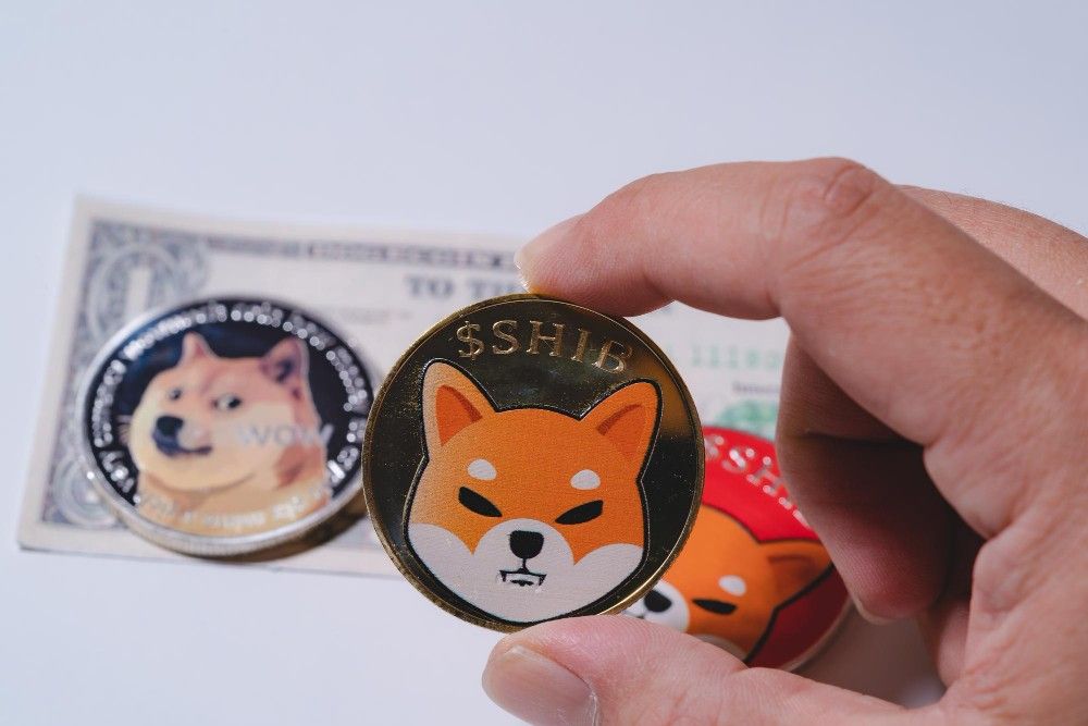 Warum ist der Shiba Inu Coin wieder bullisch?